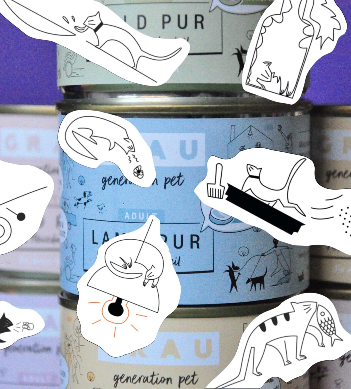 Portfolio Categories - Magdalena Michalak